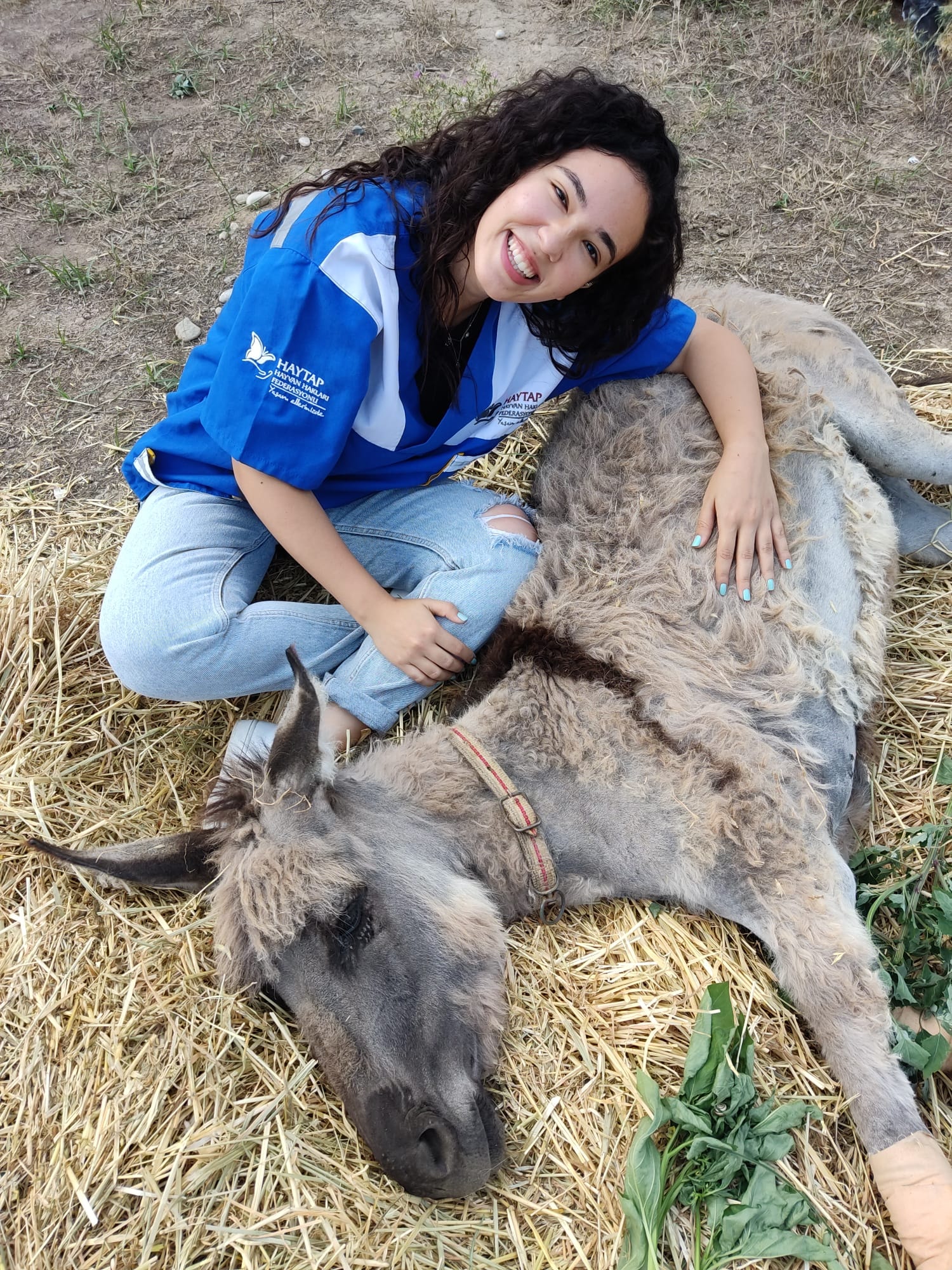 Osmaniye Haytap 2ndRetired Animals Sanctuary Opened - Oct 2022 ...